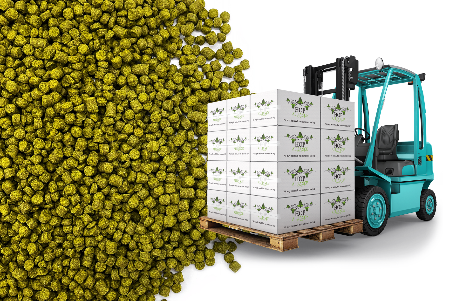 Premium Hop Supplier - Bulk Hops - Spot Hops – Hop Alliance
